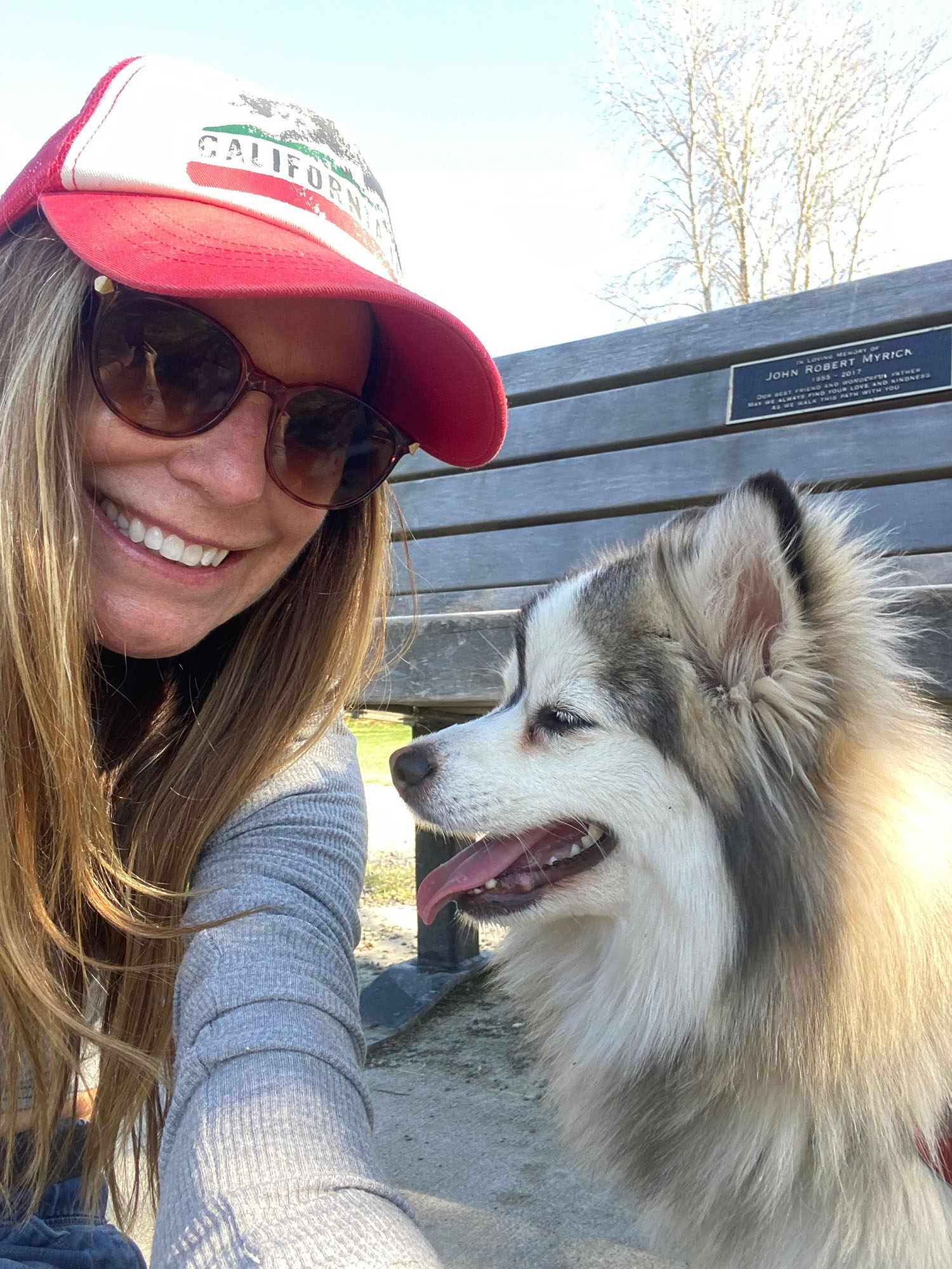 Day Training For Dogs, Seattle & San Diego Colleen Dog Training