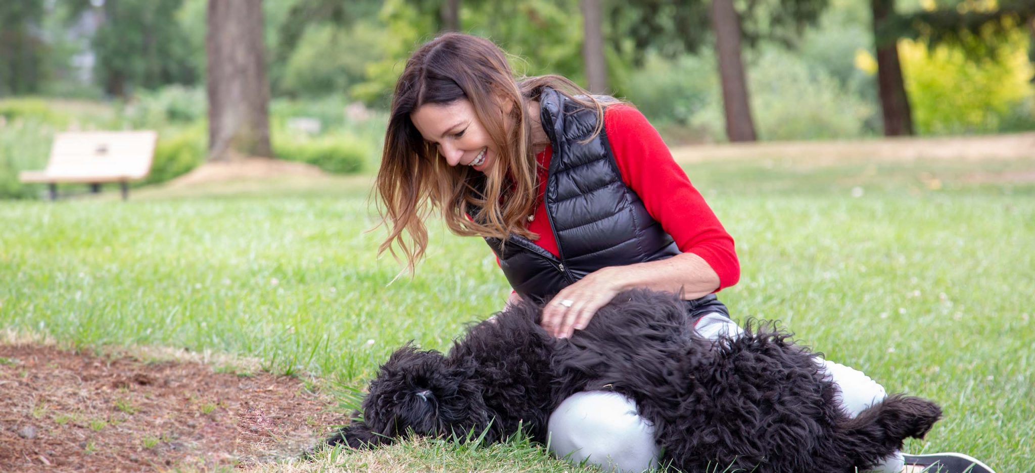 Services In San Diego And Seattle | Colleen Dog Training